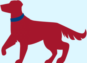 Alabama Rot | CRGV | Information & Questions